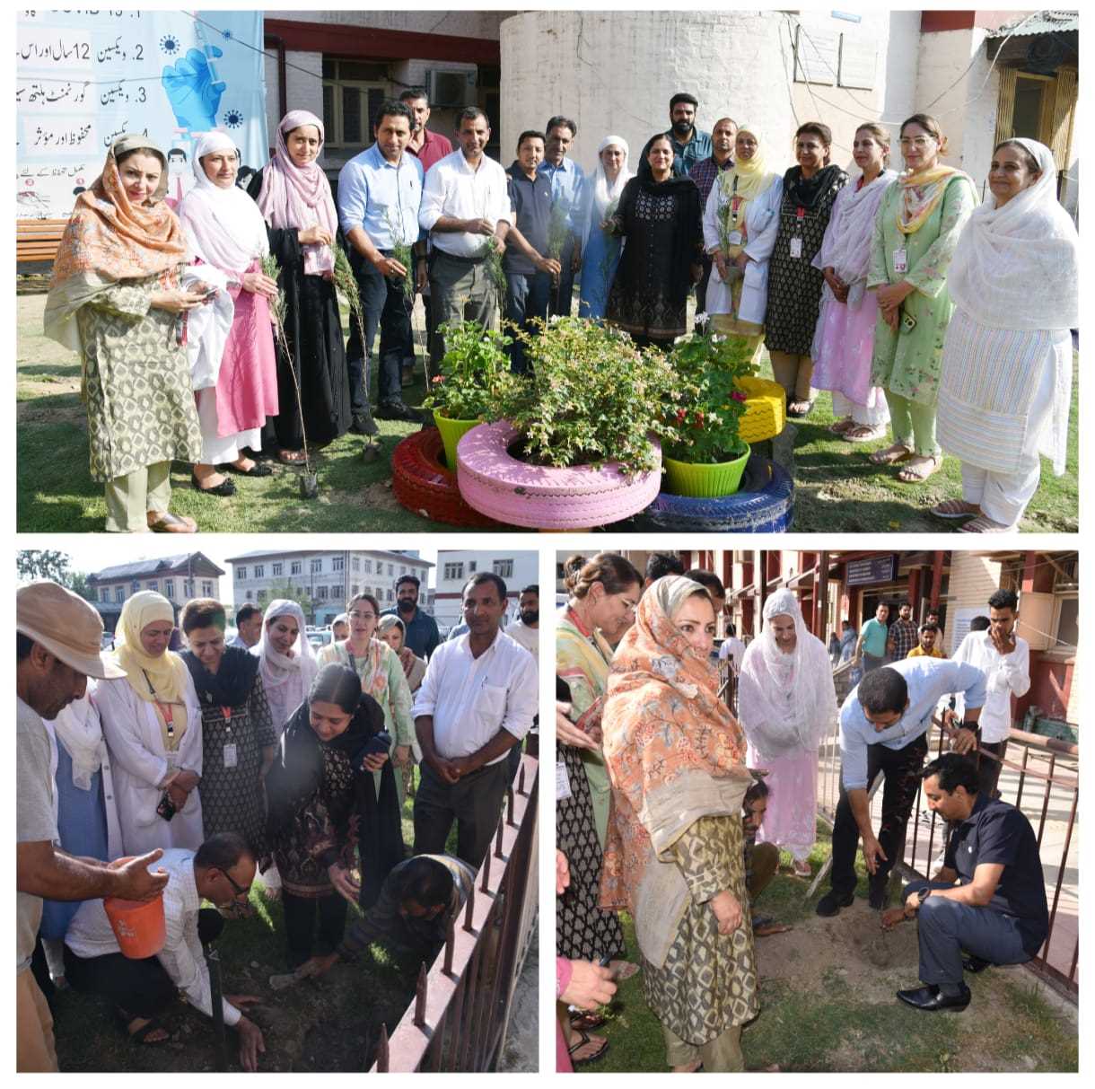 SMHS Hospital goes green, creates new green spaces, launches massive ...