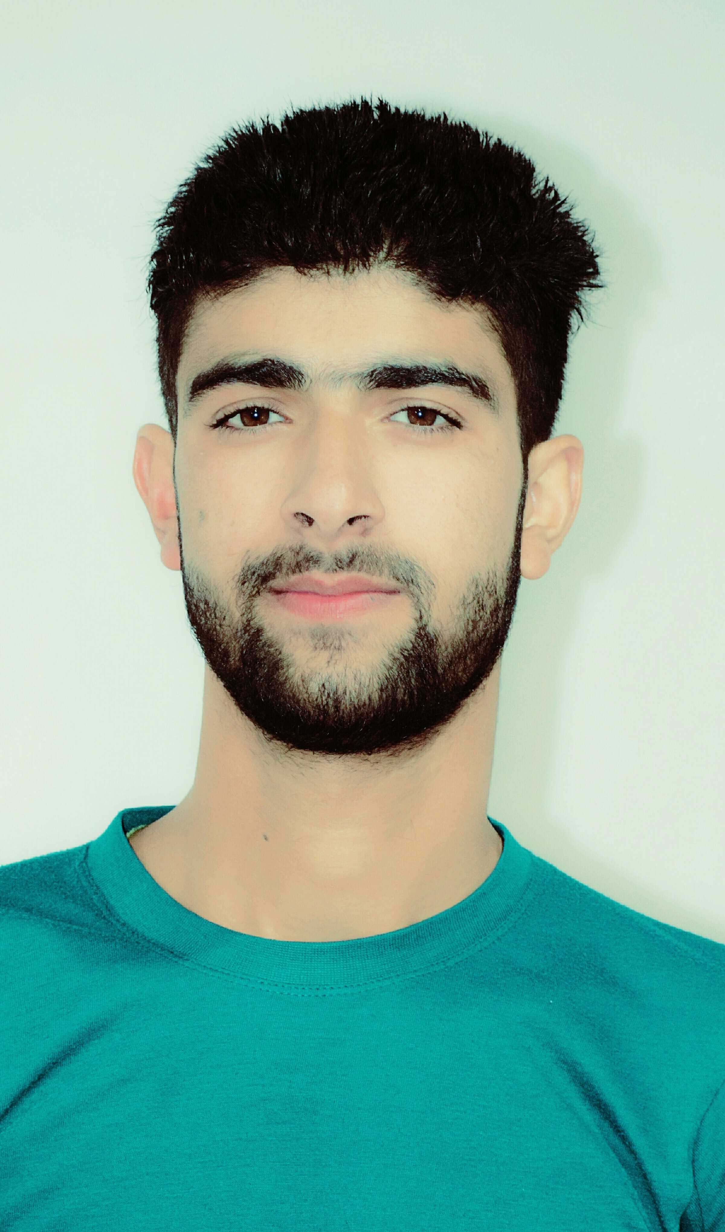 Corona-Virus: The Crash Phase of Verhulst-Pearl Logistic Concept