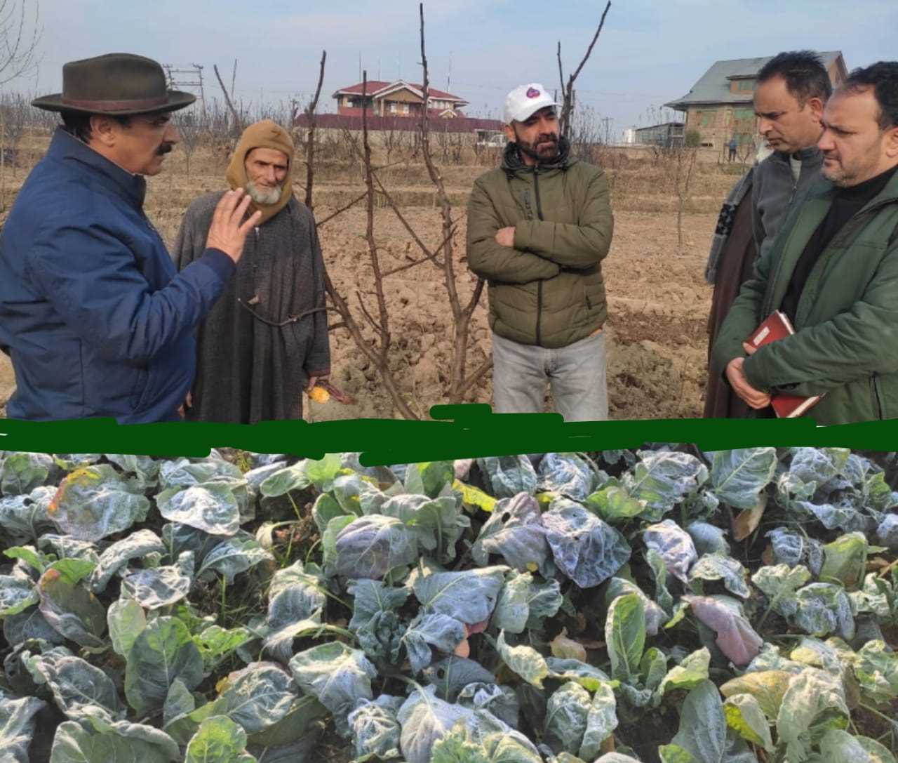 ‘Introduction of new varieties of crops will boost the income of farmers’
